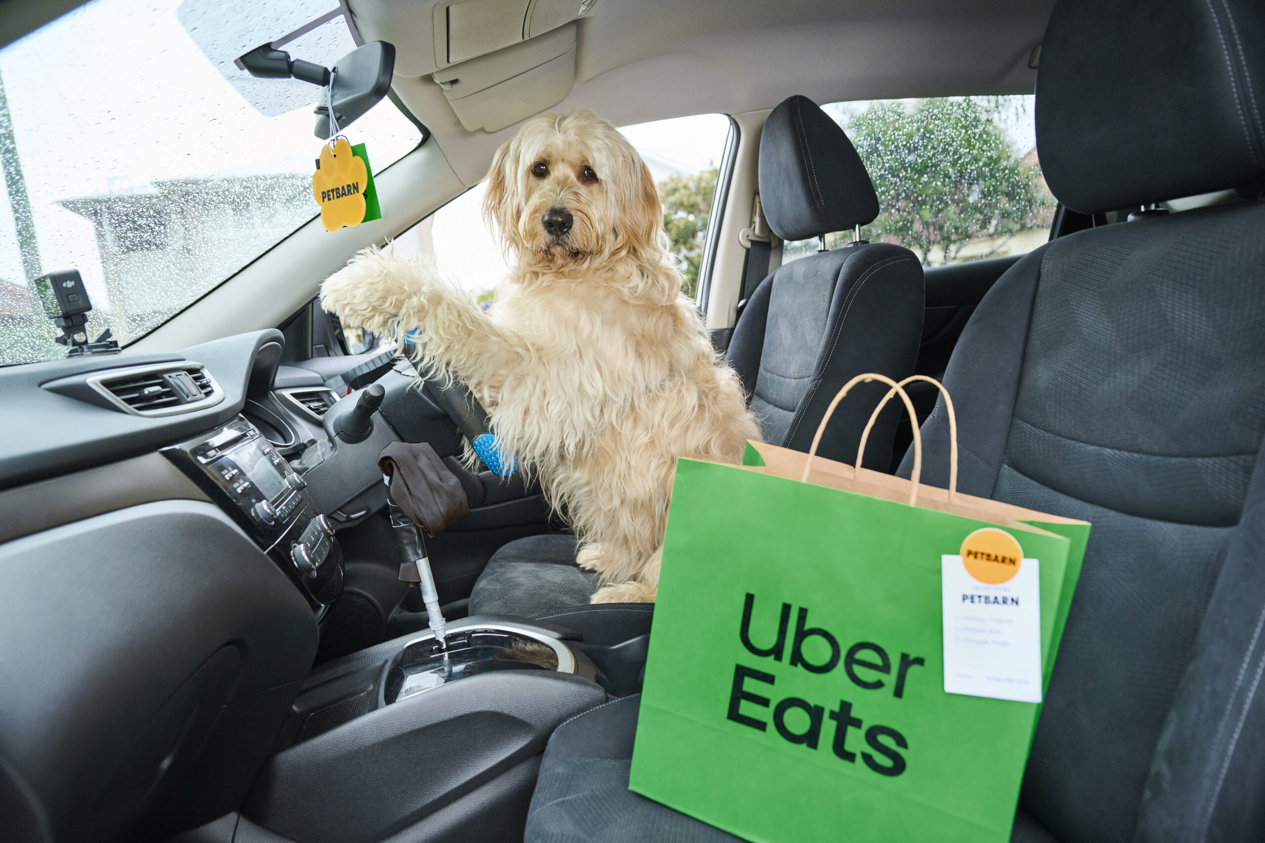 Australia’s first driving delivery dog unleashed to celebrate Petbarn’s ...