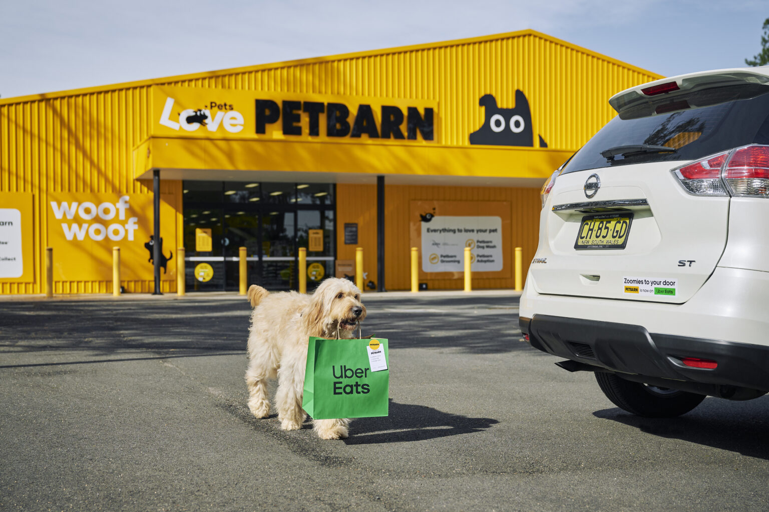 Australia’s first driving delivery dog unleashed to celebrate Petbarn’s ...