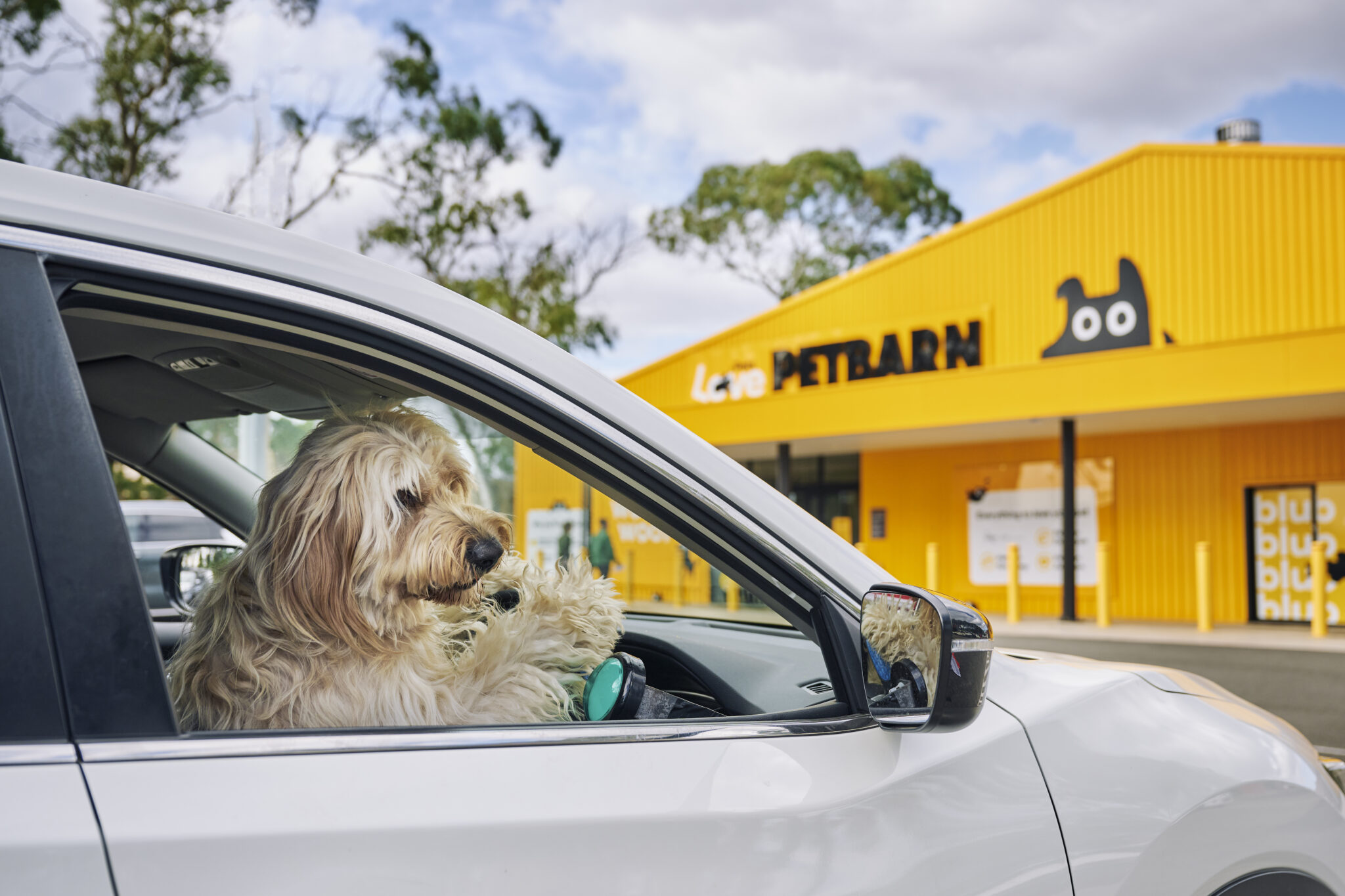 Australia’s first driving delivery dog unleashed to celebrate Petbarn’s ...