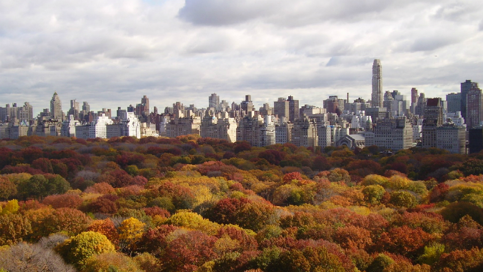 Your October City Guide | Uber Newsroom