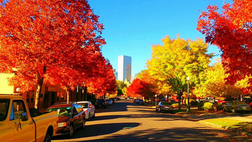 Your Uber Approved Guide - Colorado in October | Uber Newsroom